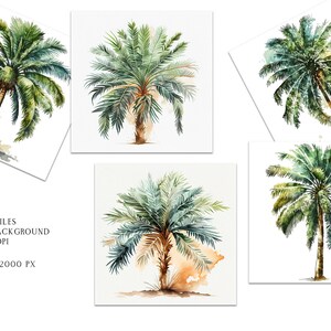 Watercolor Palm Tree Clipart PNG, Tropical Watercolor Palms, Tropical ...