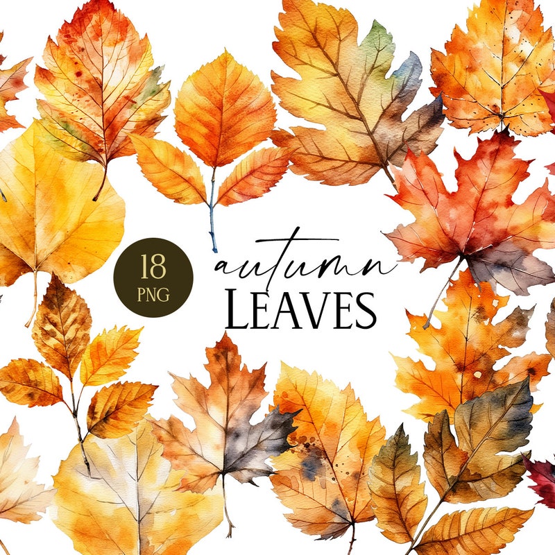 Fall Leaves Design - Etsy
