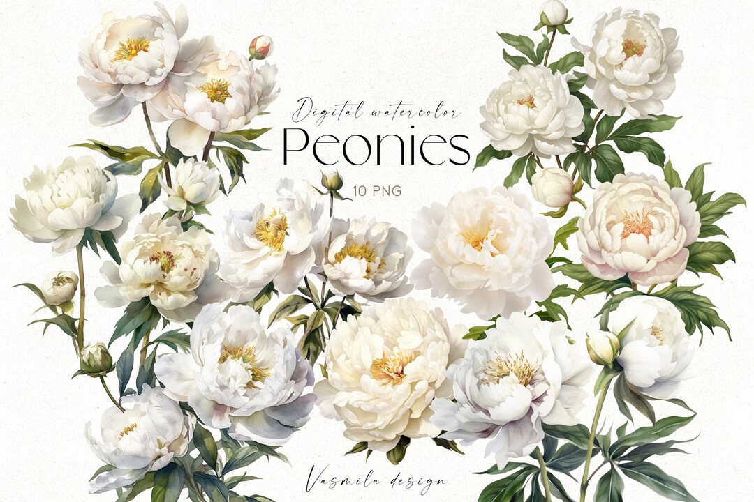 Watercolor White Peonies Png, Wedding Flower Bouquets Clipart, Floral ...