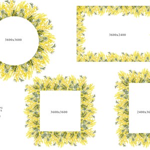 Mimosa Flower Frames Borders PNG, Spring Yellow Floral Garlands ...