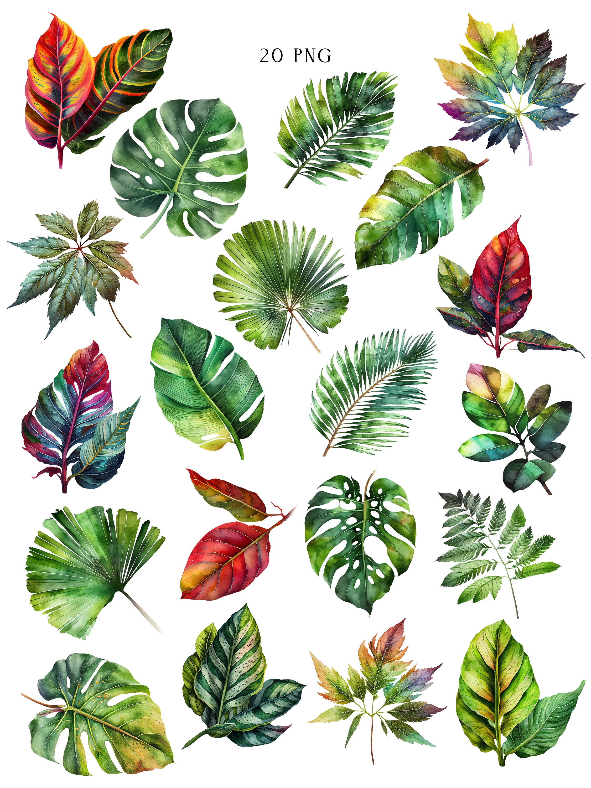 Watercolor Tropical Leaves Clipart: Floral PNG Graphics (digital ...