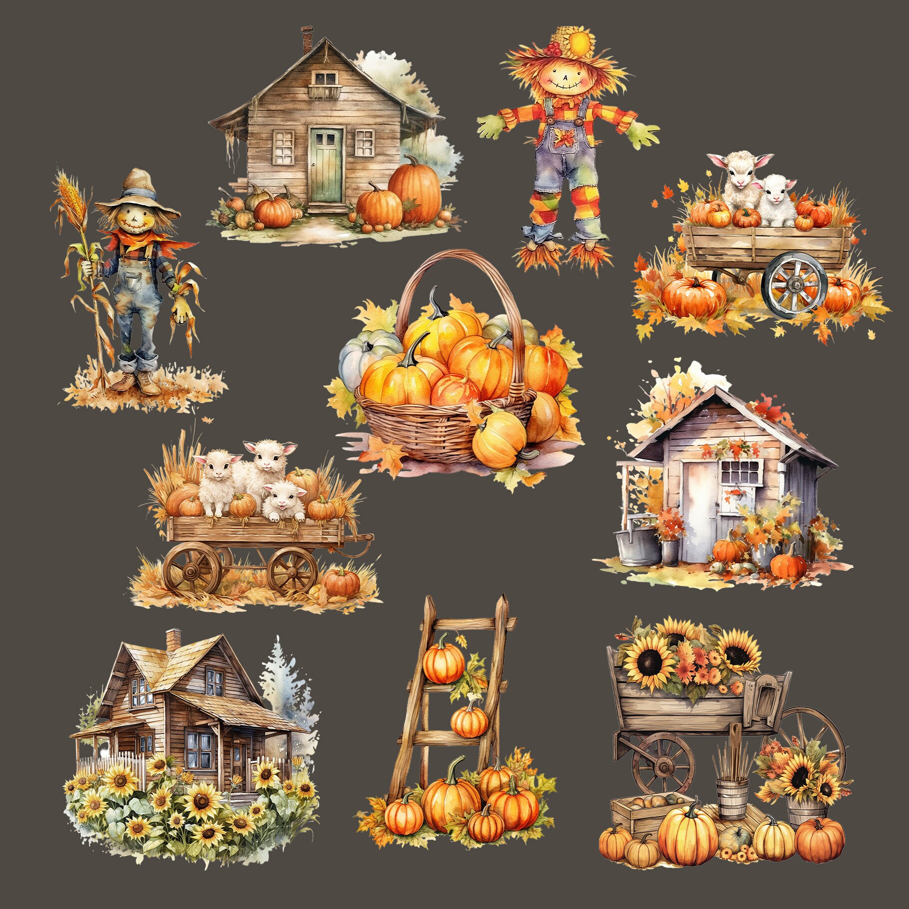 Watercolor Autumn Farm Clipart: Thanksgiving Pumpkins PNG (digital ...