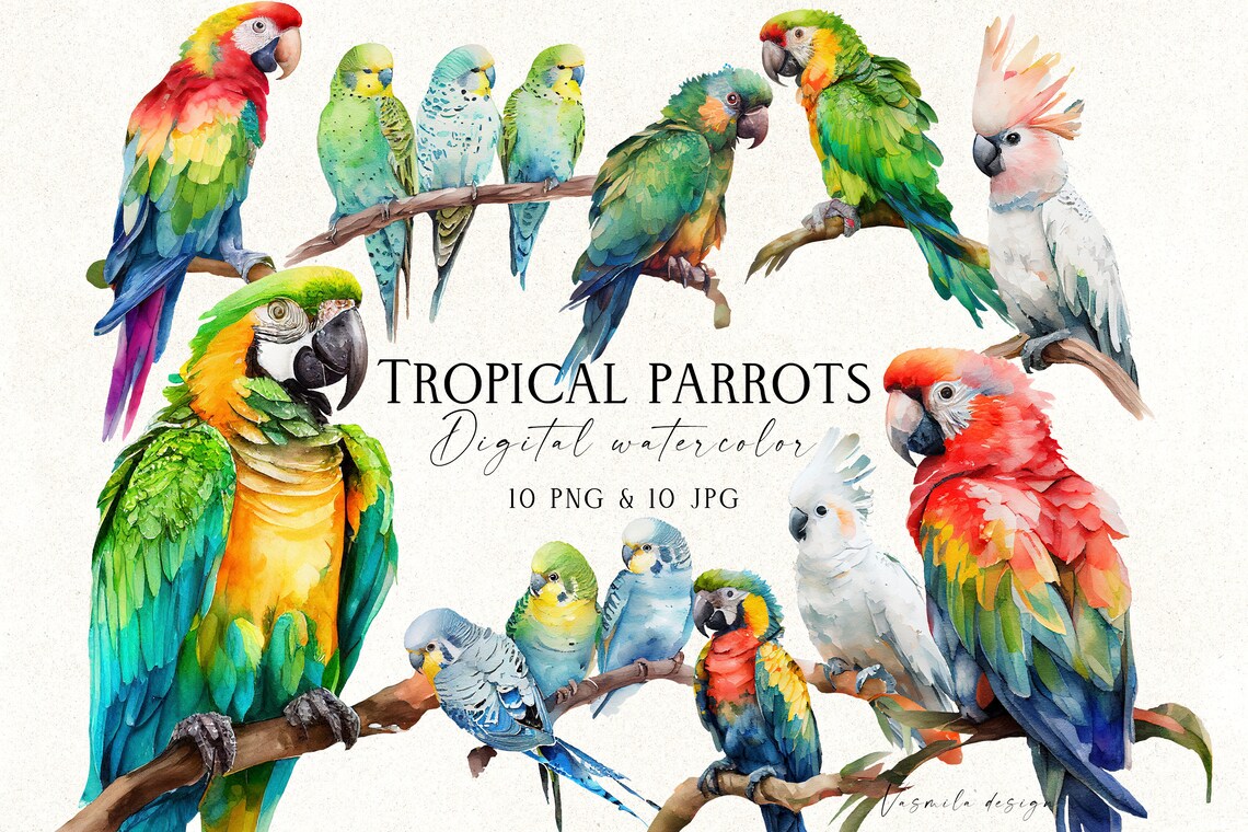 Watercolor Tropical Parrots PNG Tropical Birds Clipart - Etsy