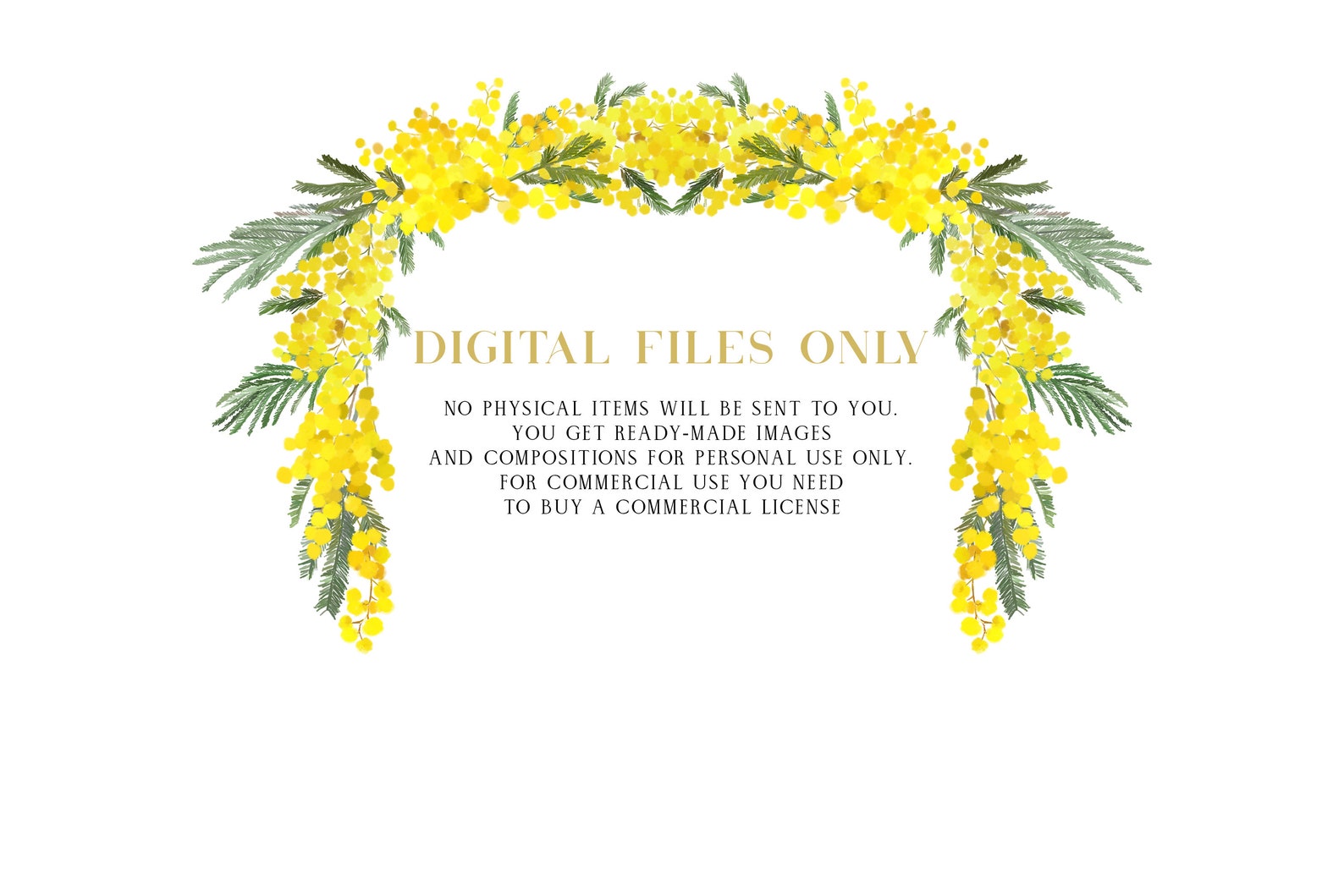 Mimosa Flowers Borders Frames PNG, Spring Yellow Floral Garlands ...