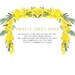Mimosa Flowers Borders Frames PNG, Spring Yellow Floral Garlands ...