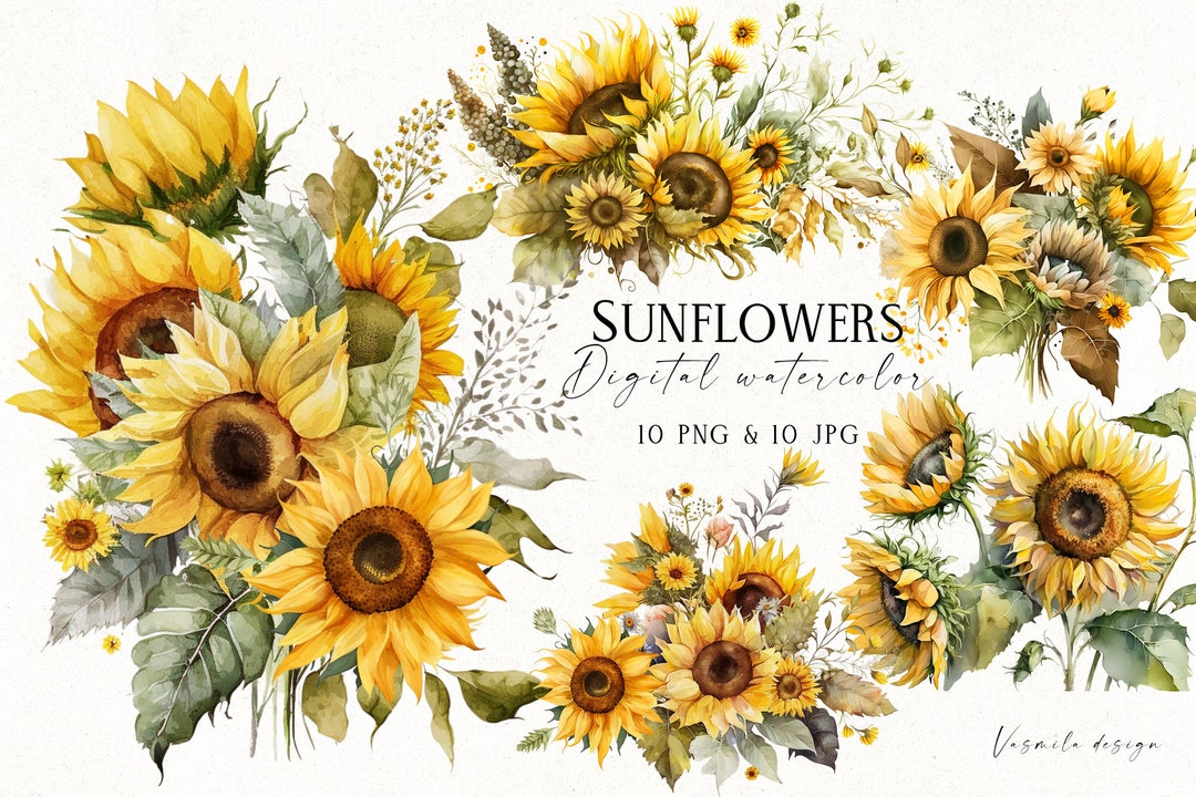Watercolor Sunflower Bouquets, Sunflower PNG, Floral Rustic Clipart PNG ...