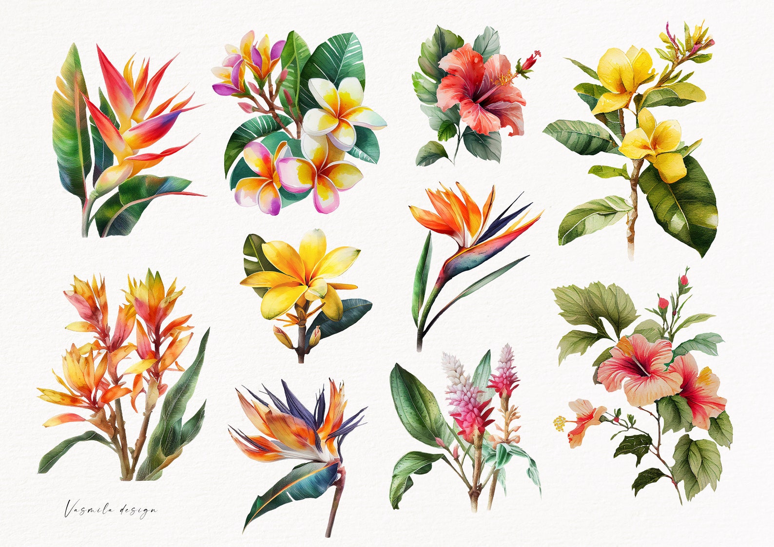 Watercolor Tropical Flowers Clipart Colorful Floral - Etsy