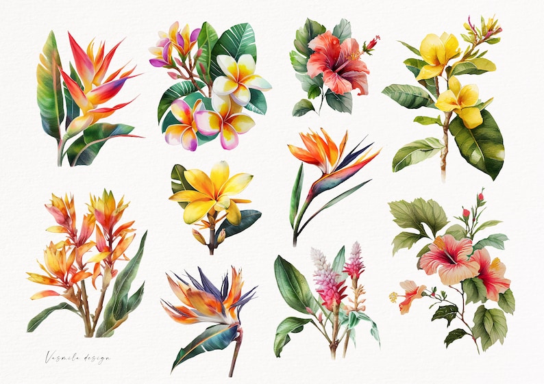 Watercolor Tropical Flowers Clipart Colorful Floral - Etsy