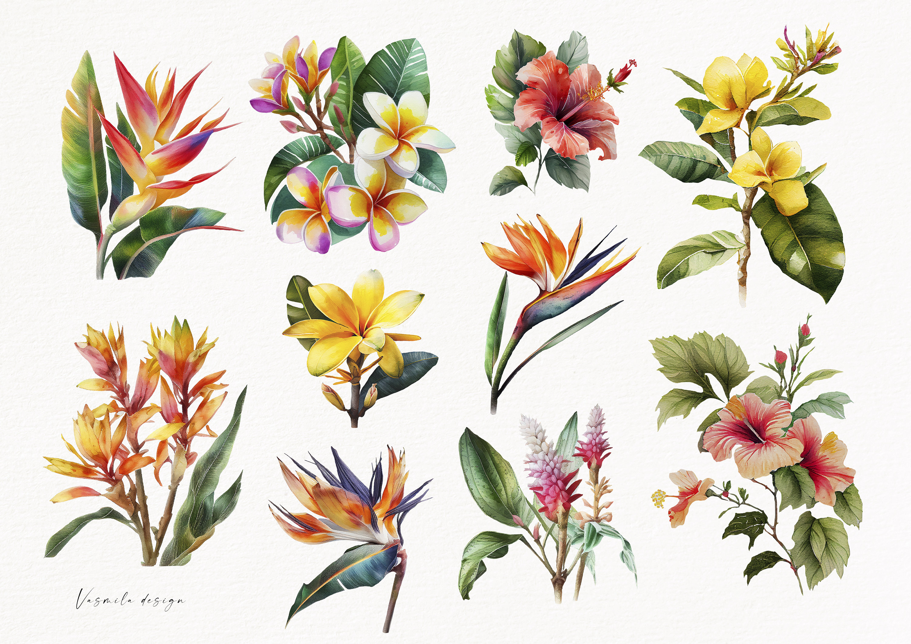 Watercolor Tropical Flowers Clipart Colorful Floral - Etsy