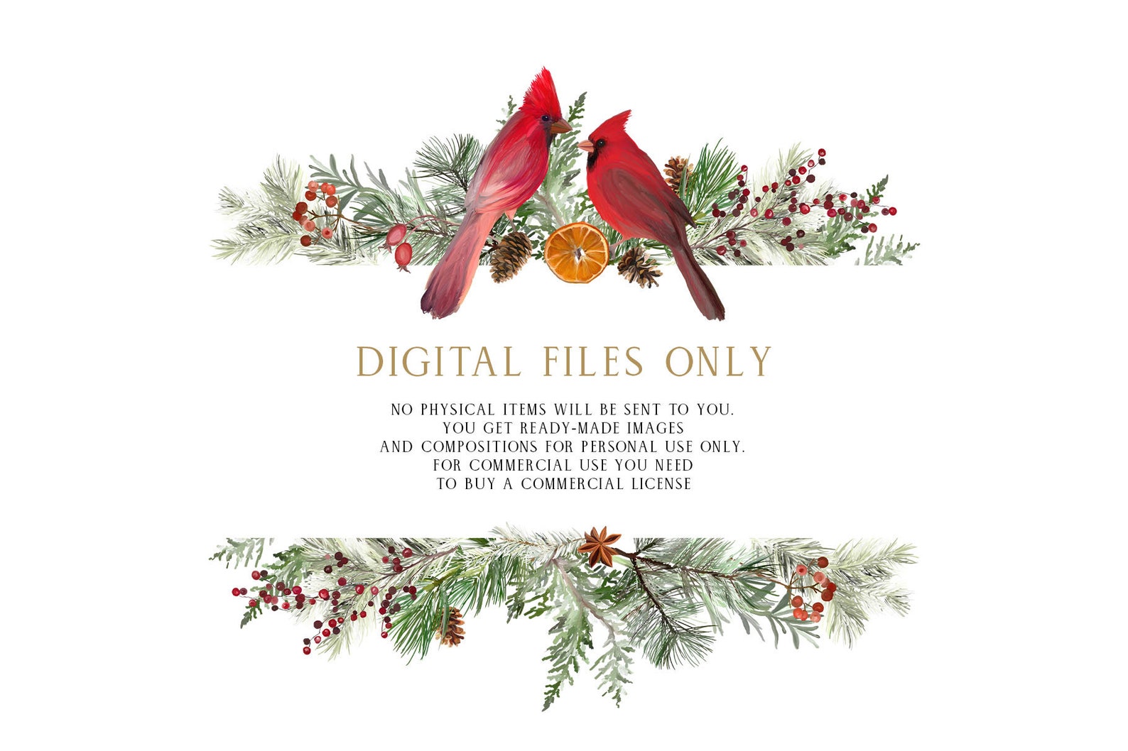 Christmas Holidays Frame Cardinal Bird Winter Clip Art PNG Christmas ...