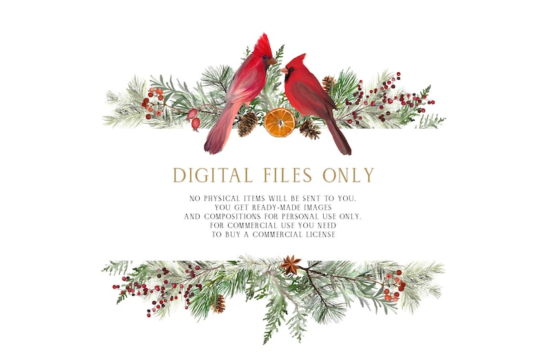 Christmas Holidays Frame Cardinal Bird Winter Clip Art PNG Christmas ...