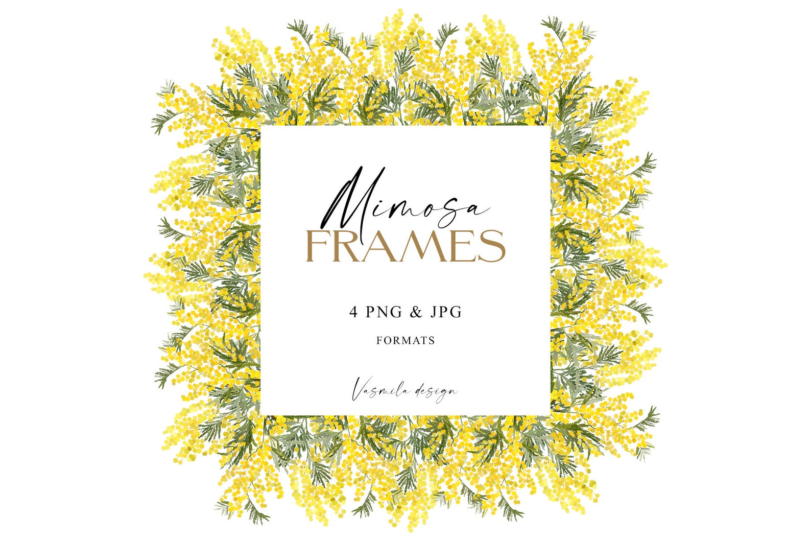 Mimosa Flower Frames Borders PNG Spring Yellow Floral - Etsy