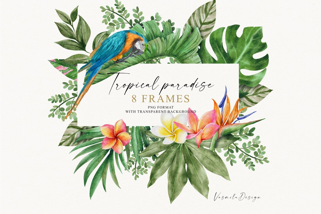 Watercolor Tropical Frames Clipart, Summer Borders PNG, Tropical Leaves ...