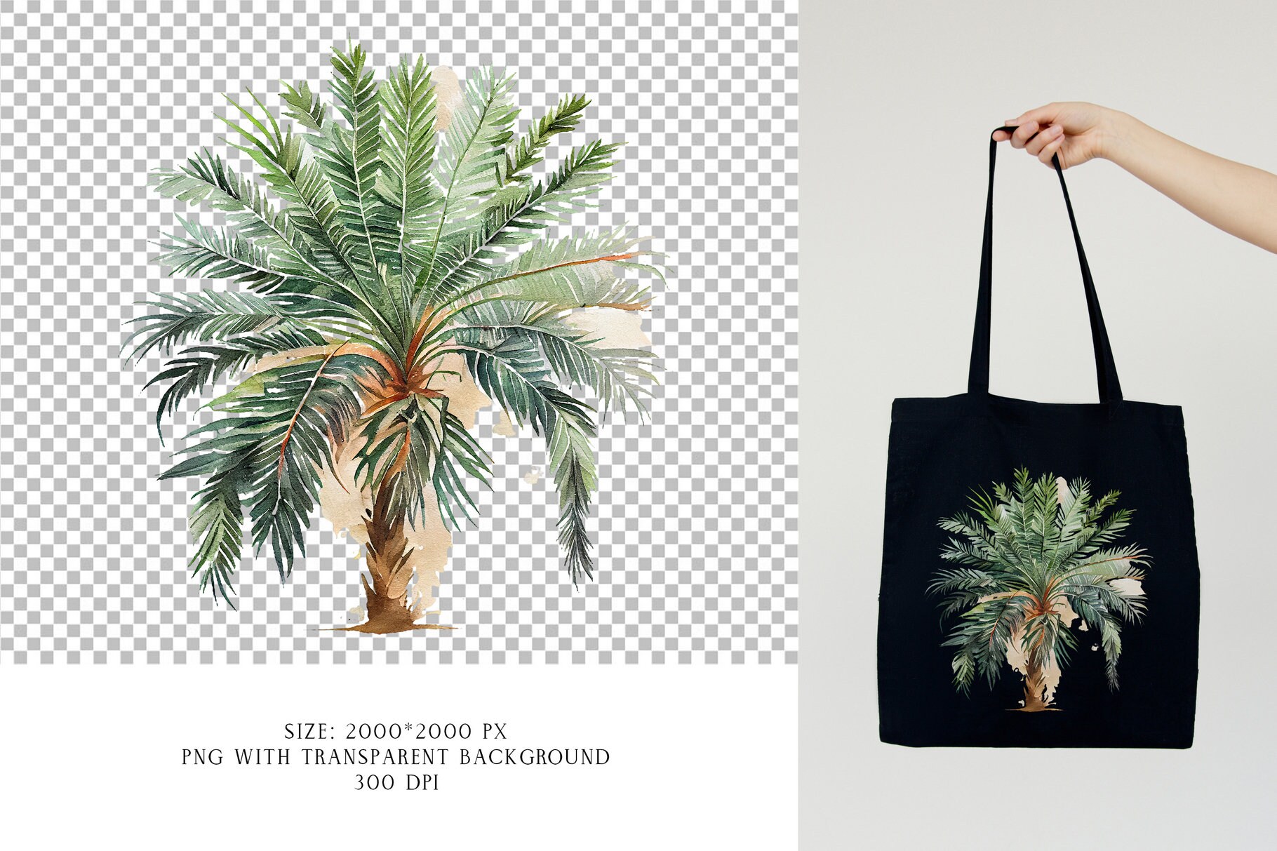 Watercolor Palm Tree Clipart PNG Tropical Watercolor Palms - Etsy