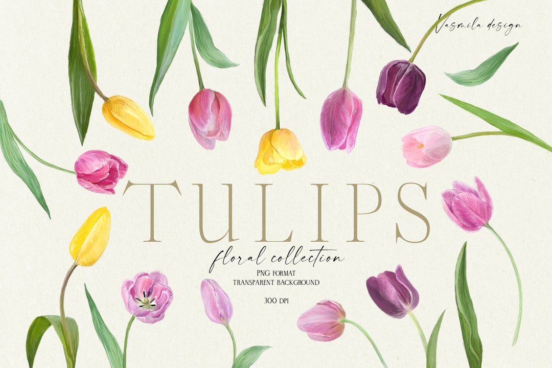 Tulips Flowers Clipart, Spring Floral Elements Png, Tulip Flower ...
