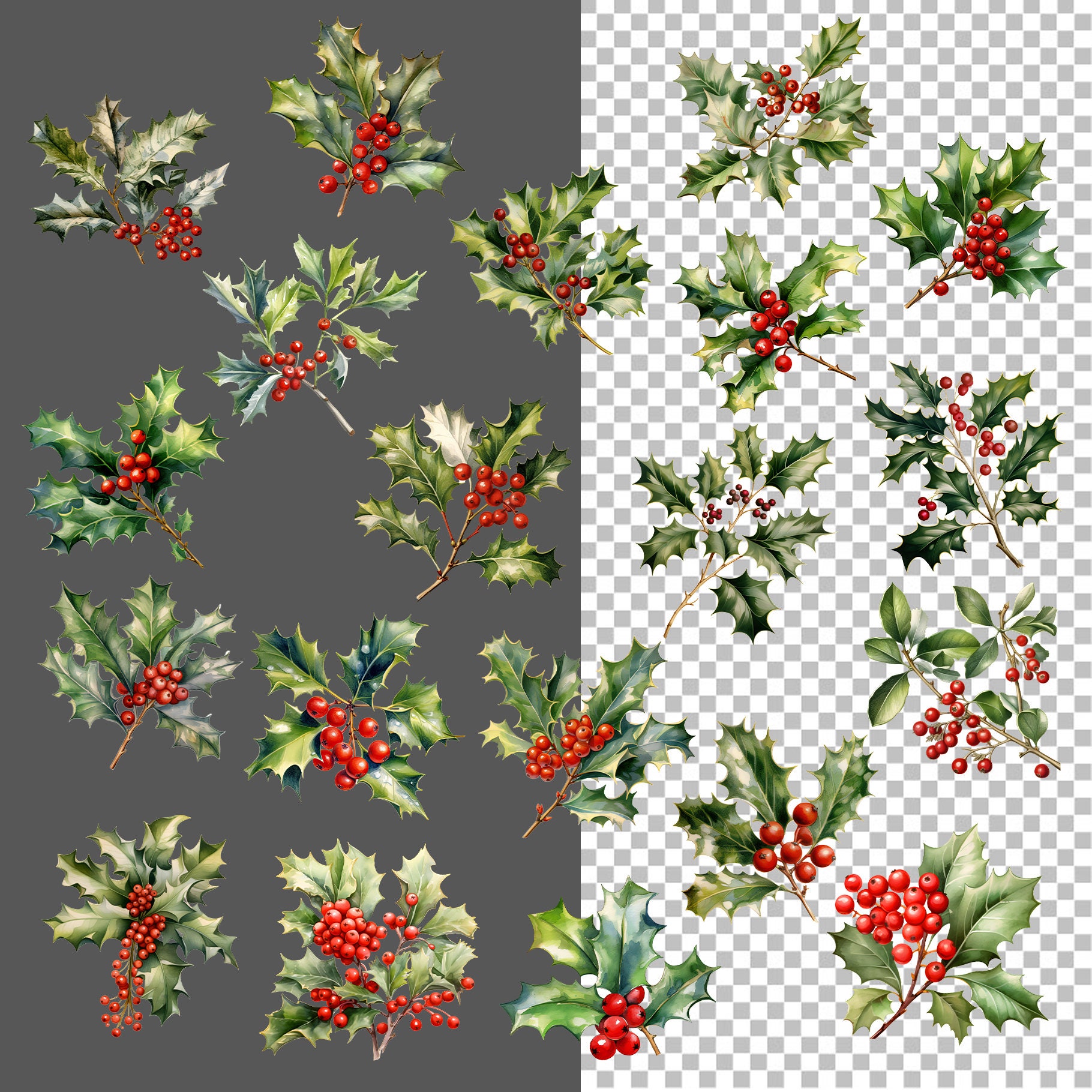 Christmas Holly Watercolor Clipart, Watercolour Holly With Berries ...