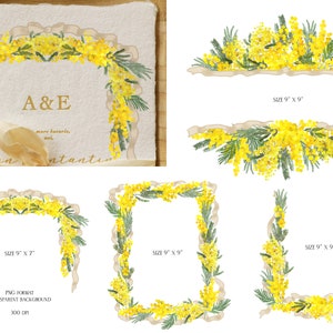 Mimosa Flowers Borders Frames PNG, Spring Yellow Floral Garlands ...