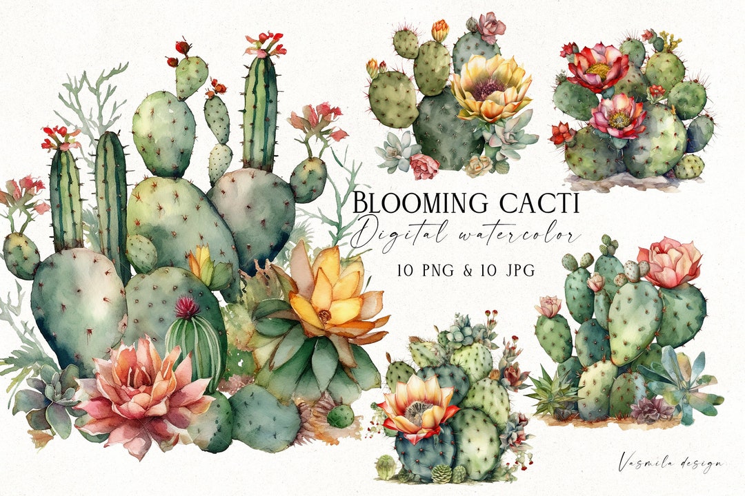 Blooming Cacti Clipart, Watercolor Cactus PNG Clipart, 10 Printable ...
