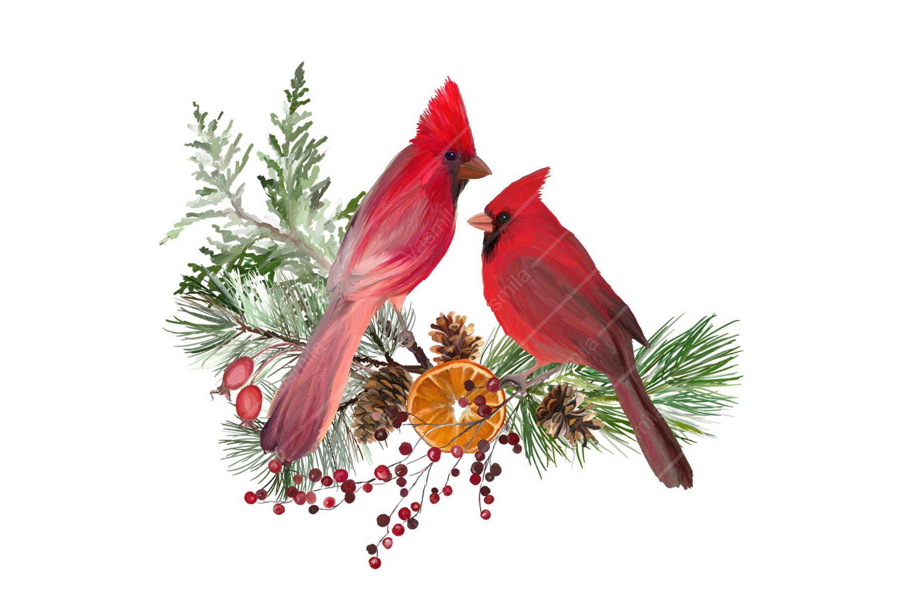 Christmas Cardinal Clipart