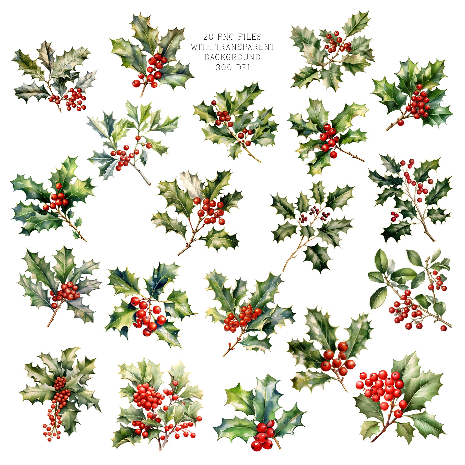 Christmas Holly Watercolor Clipart, Watercolour Holly With Berries ...