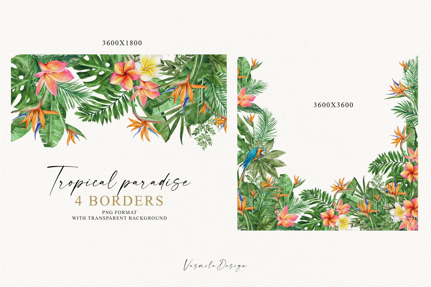 Watercolor Tropical Borders Clipart, Summer Frames PNG, Palm Leaves ...