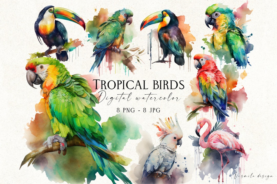 Watercolor Tropical Birds PNG, Parrot Flamingo Illustrations ...