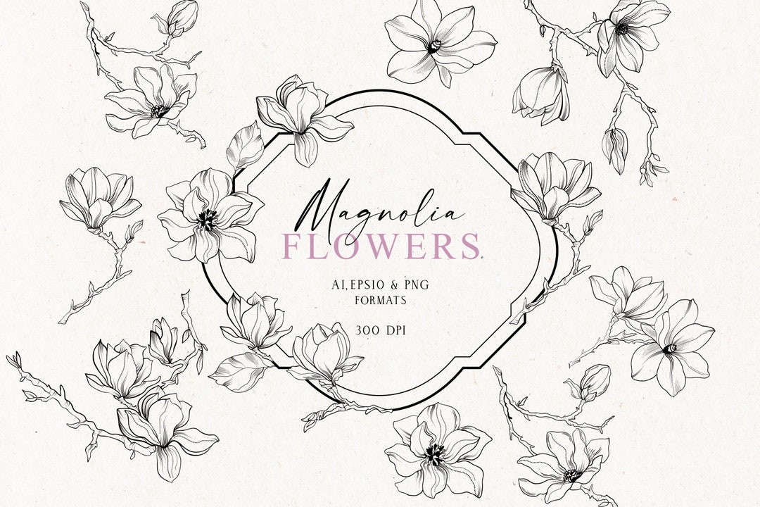 Magnolia Hand Drawn Line Art Frames, Magnolia Flowers Outline Borders ...