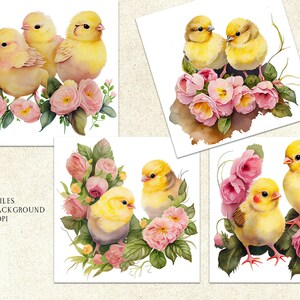 Watercolor Chickens Clipart, Cute Floral Chickens PNG, Baby Chickens ...