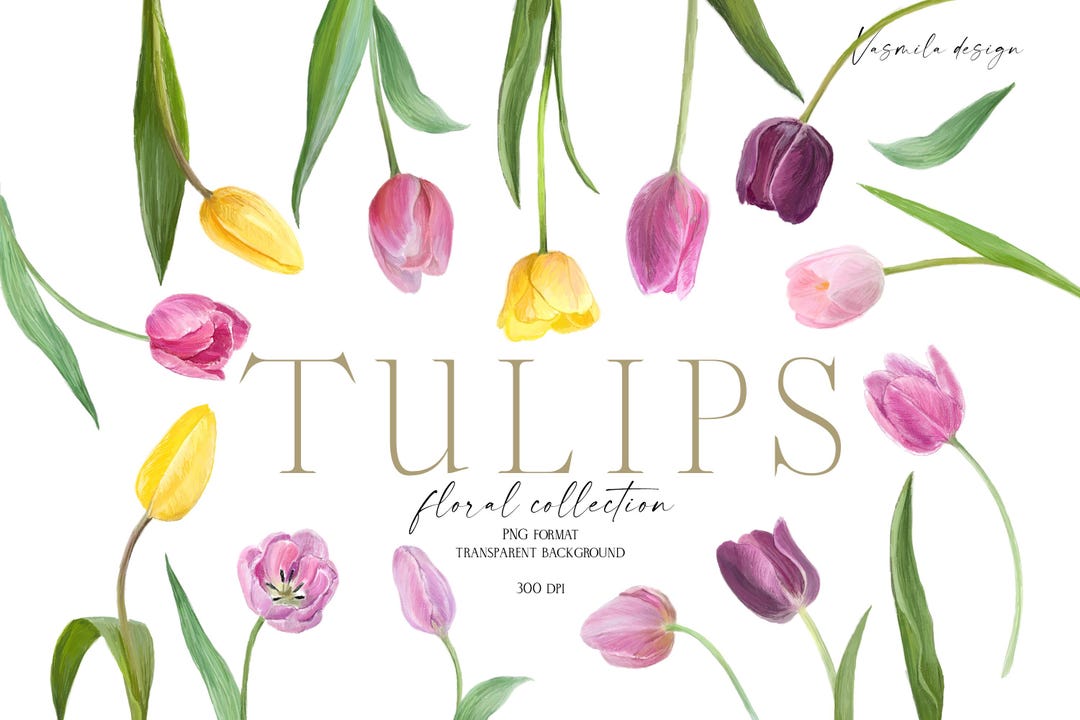Blooming Tulip Flowers PNG, Spring Floral Elements, Tulip Flowers ...
