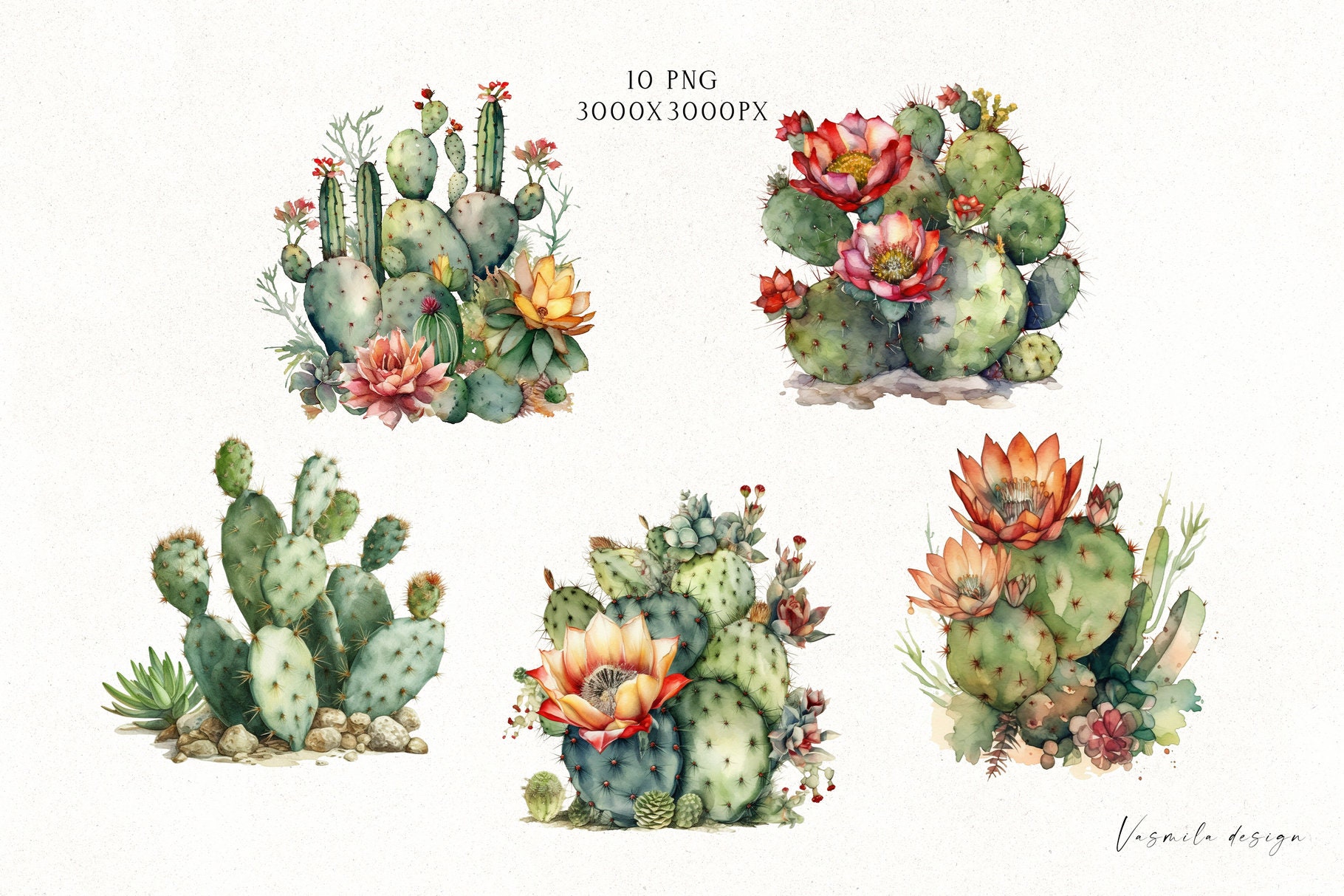 Blooming Cacti Clipart, Watercolor Cactus PNG Clipart, 10 Printable ...
