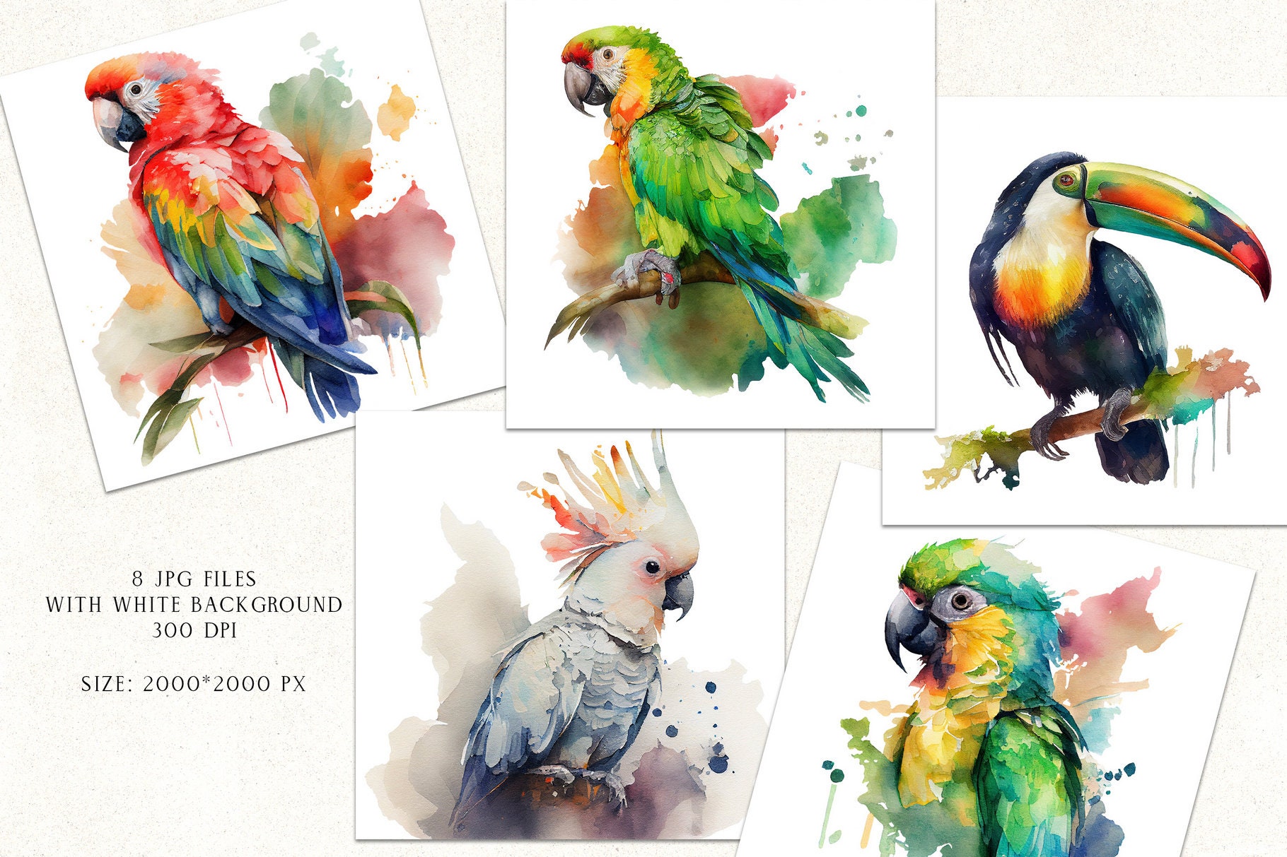 Watercolor Tropical Birds PNG Parrot Flamingo Illustrations - Etsy
