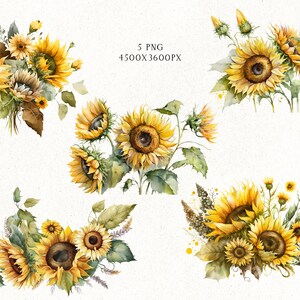 Watercolor Sunflower Bouquets, Sunflower PNG, Floral Rustic Clipart PNG ...