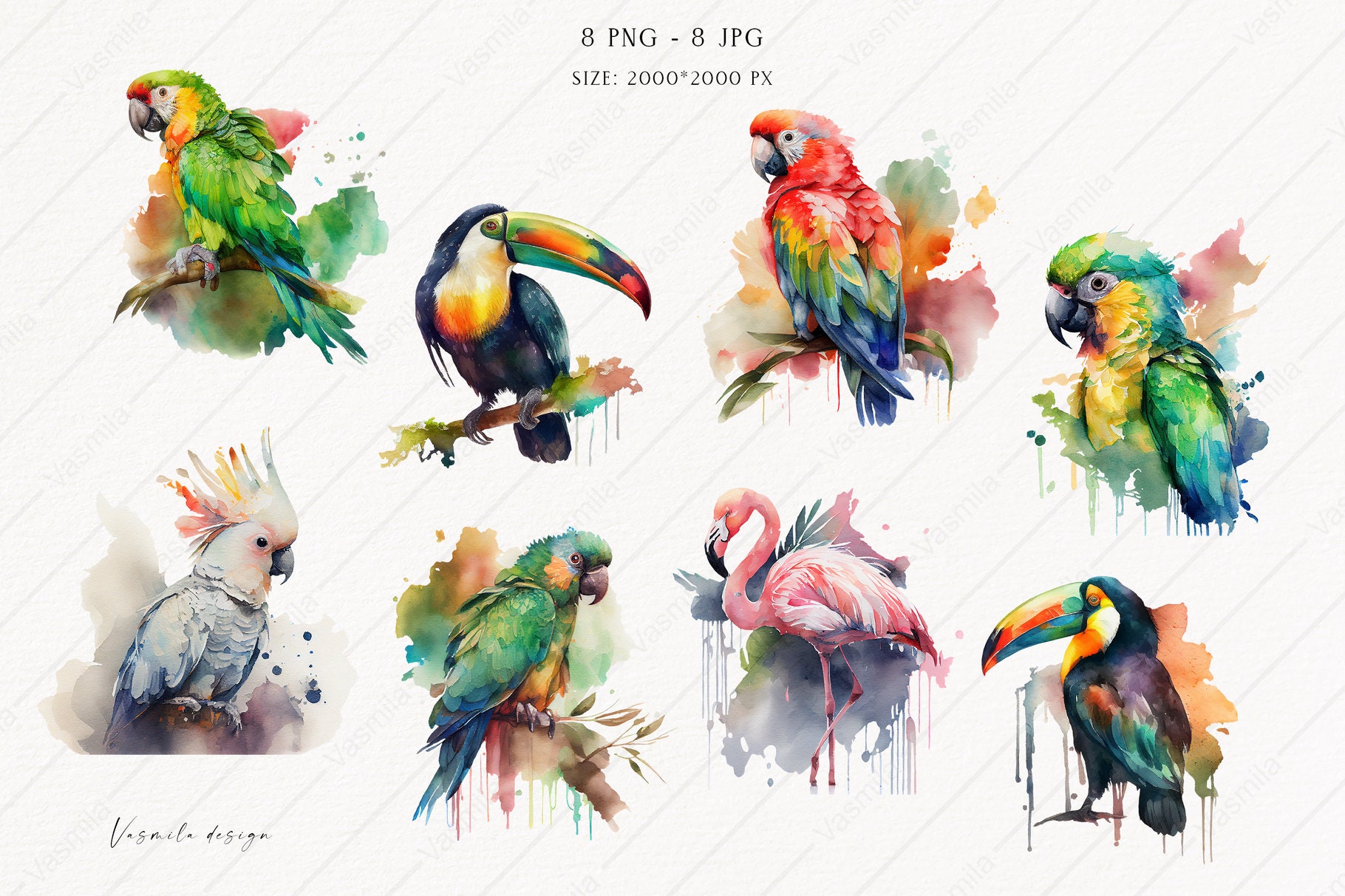 Watercolor Tropical Birds PNG Parrot Flamingo Illustrations - Etsy