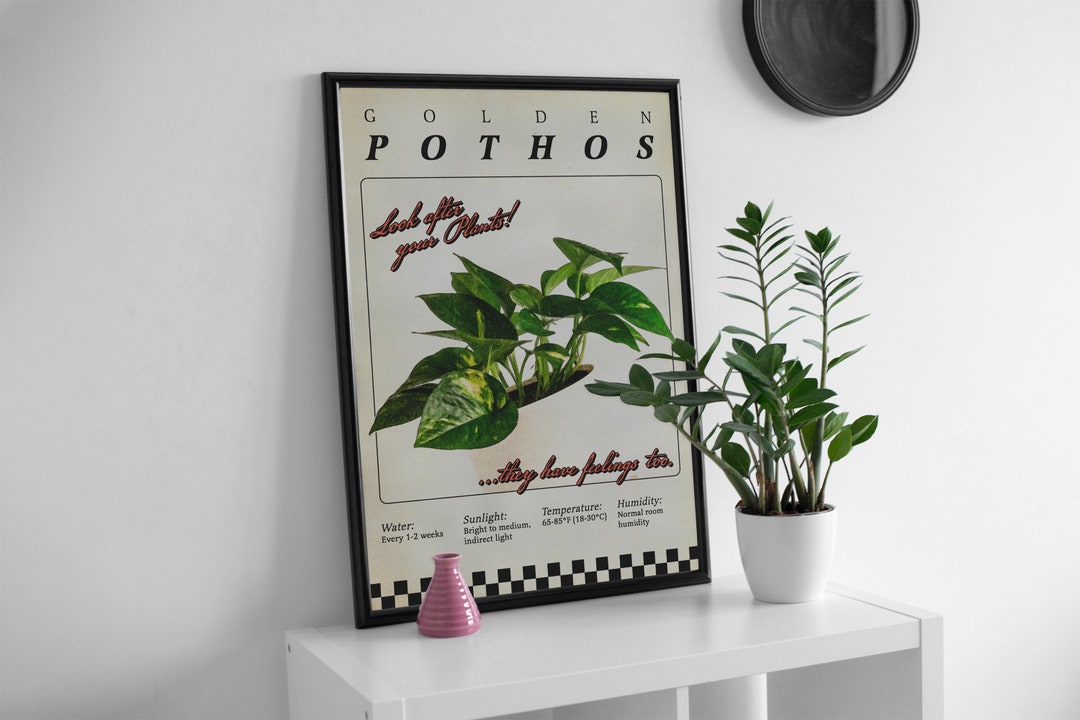 Golden Pothos Wall Art | Vintage Poster | Plant Care | Boho - Etsy