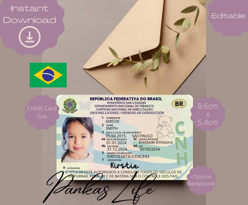Pretend Play Brazilian Driver License for Kids, Brazil Driving Licence ...