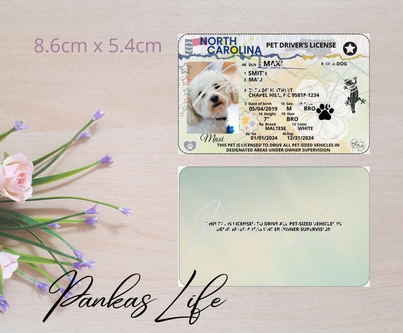 Editable Pretend Play Usa Driver License for Pets, North Carolina ...