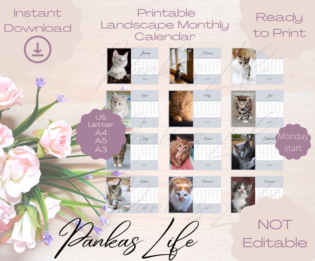 2023 Printable Cat Calendar, Monthly Large Wall Calendar, 12 Month ...