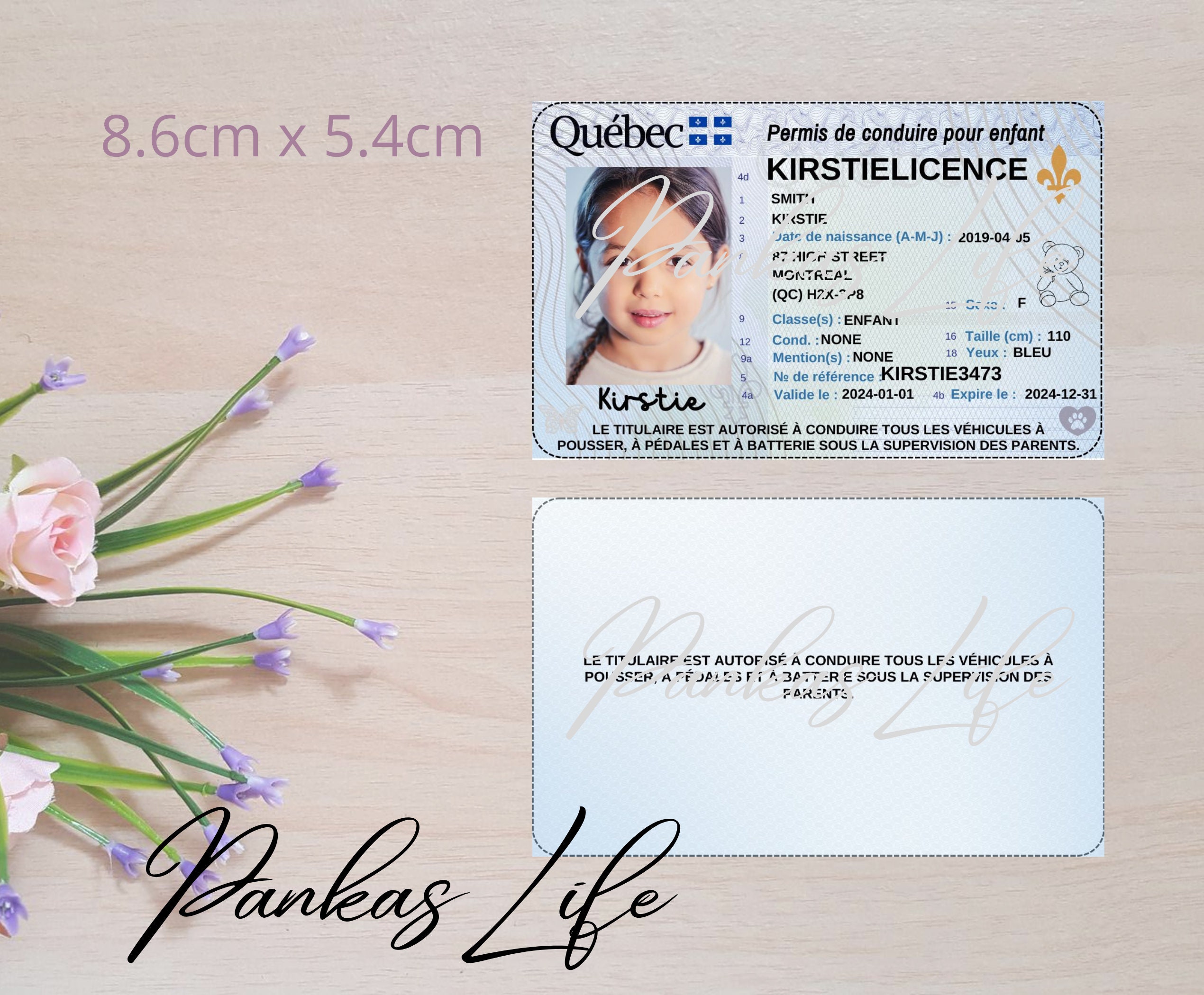 Pretend Play Canada Driver License for Kids, Québec Driving Licence ...