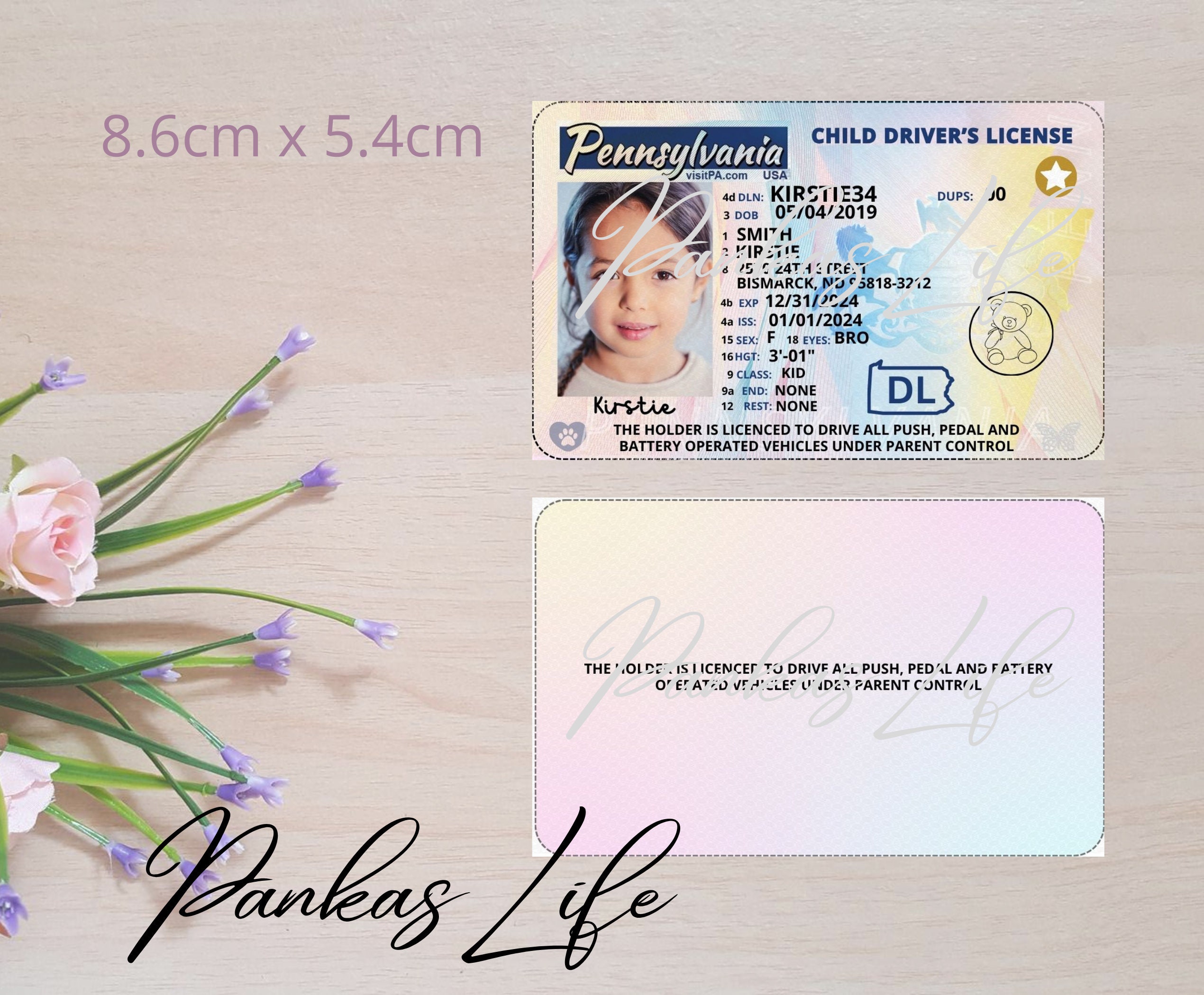 Pretend Play Usa Driver License for Kids, Pennsylvania Driving Licence ...