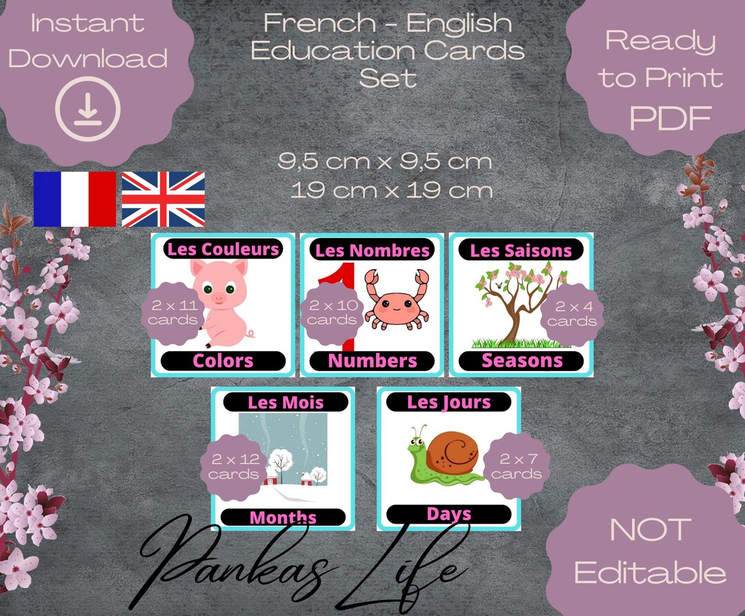 French English Bilingual Flashcards, Educational Printables, Preschool Activities, Homeschool ...
