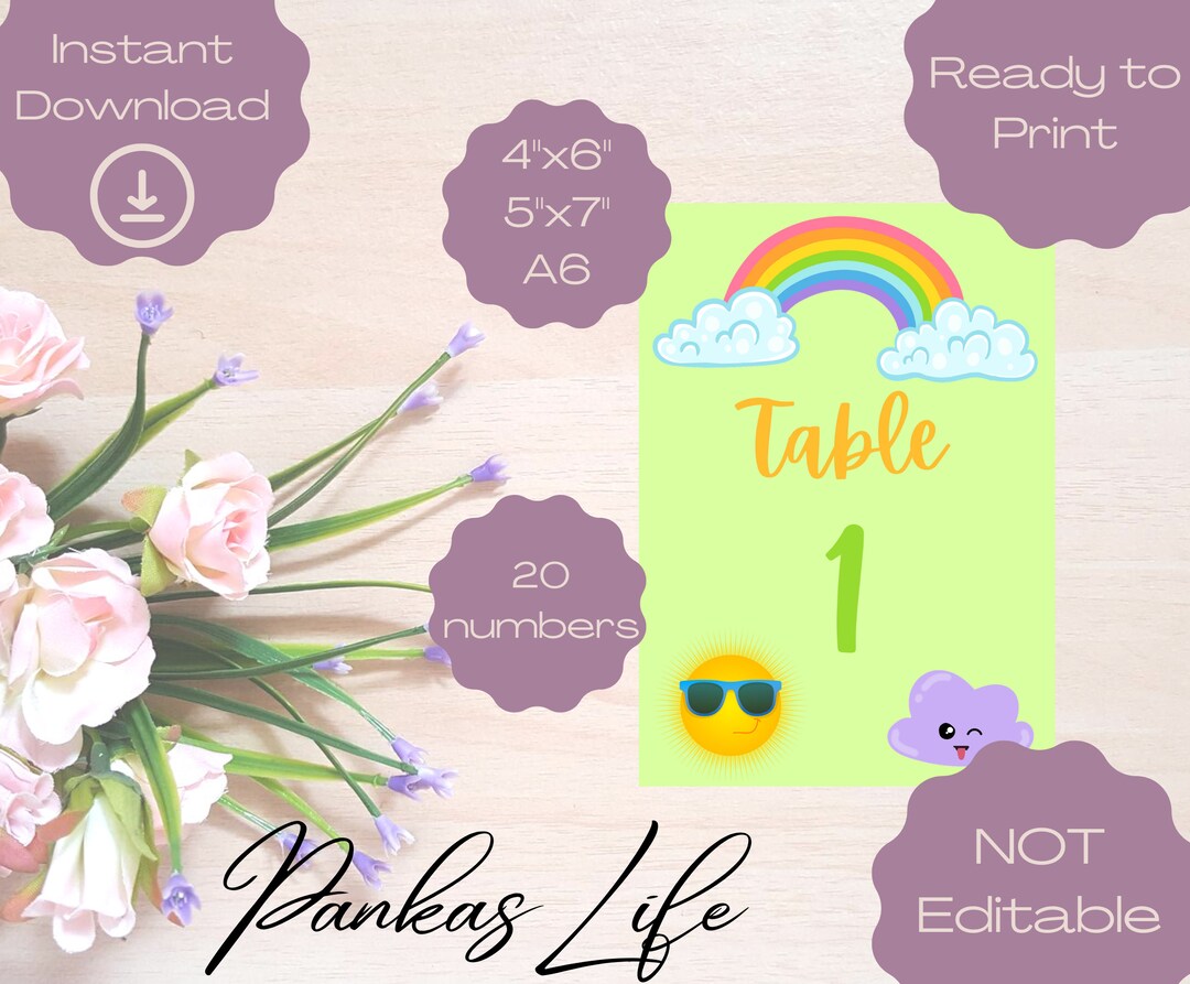 Funny Rainbow Table Number Sign Cute Party Theme Birthday - Etsy