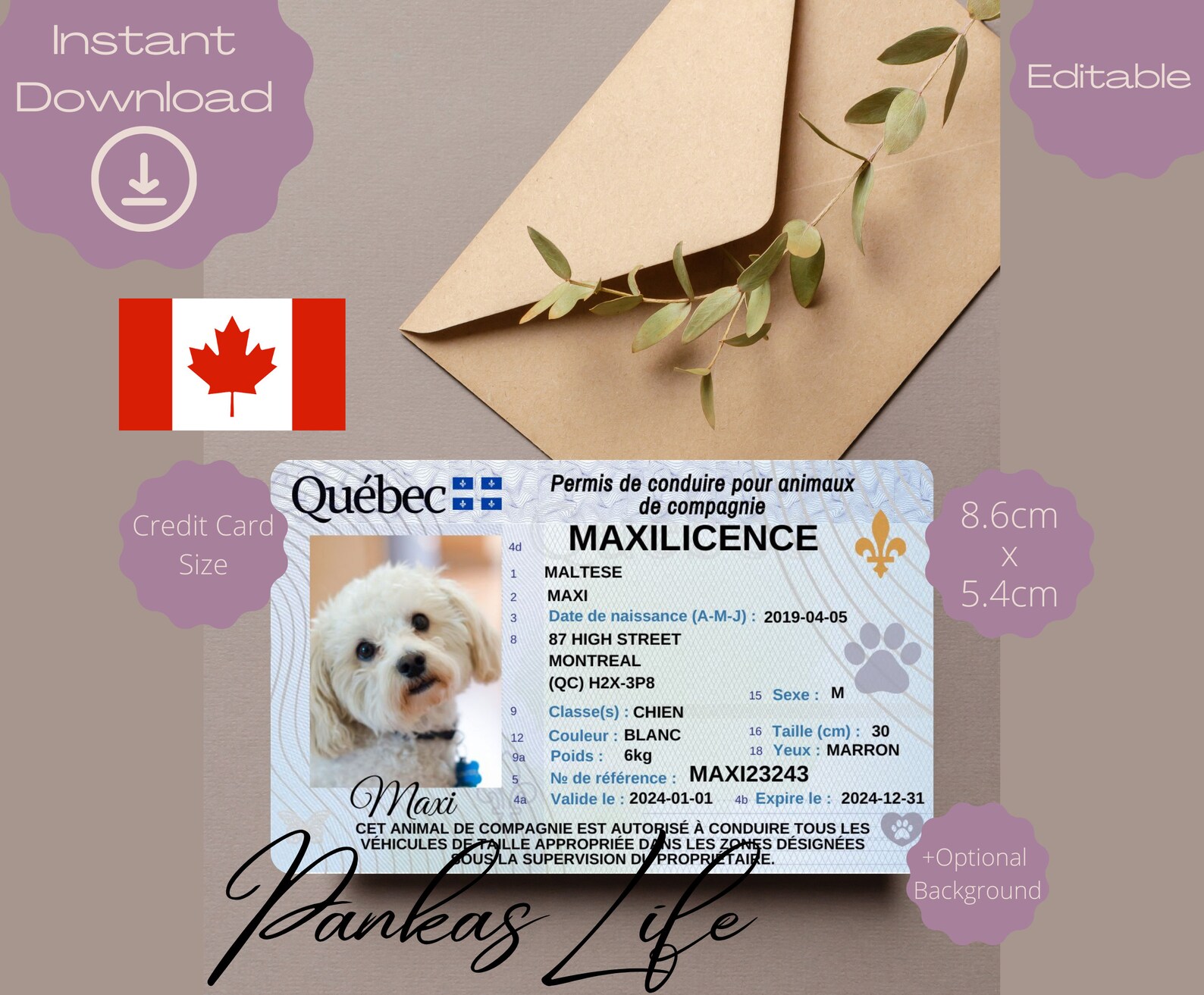 Editable Pretend Play Canada Driver Licence for Pets Québec Driving ...