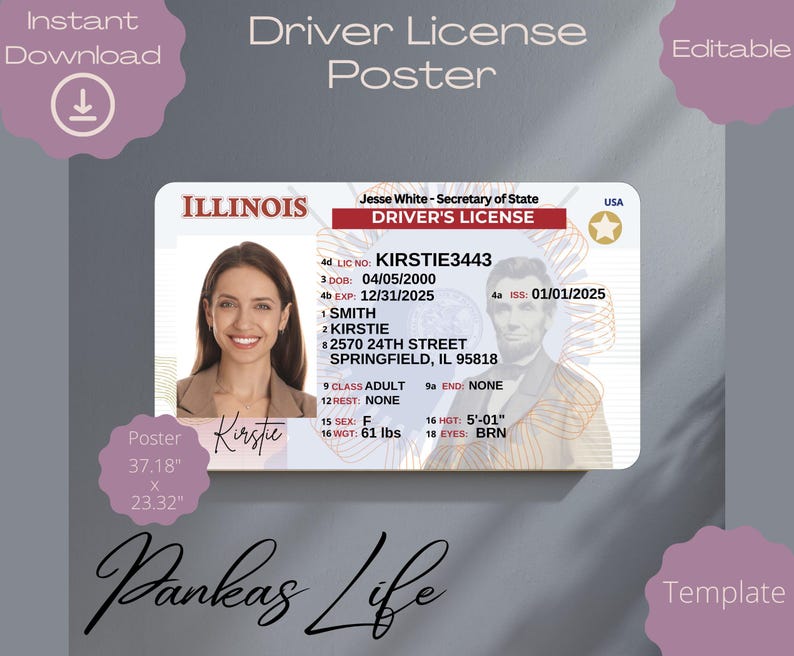 Illinois Driver License Poster for Kids, US Driving Licence Template ...