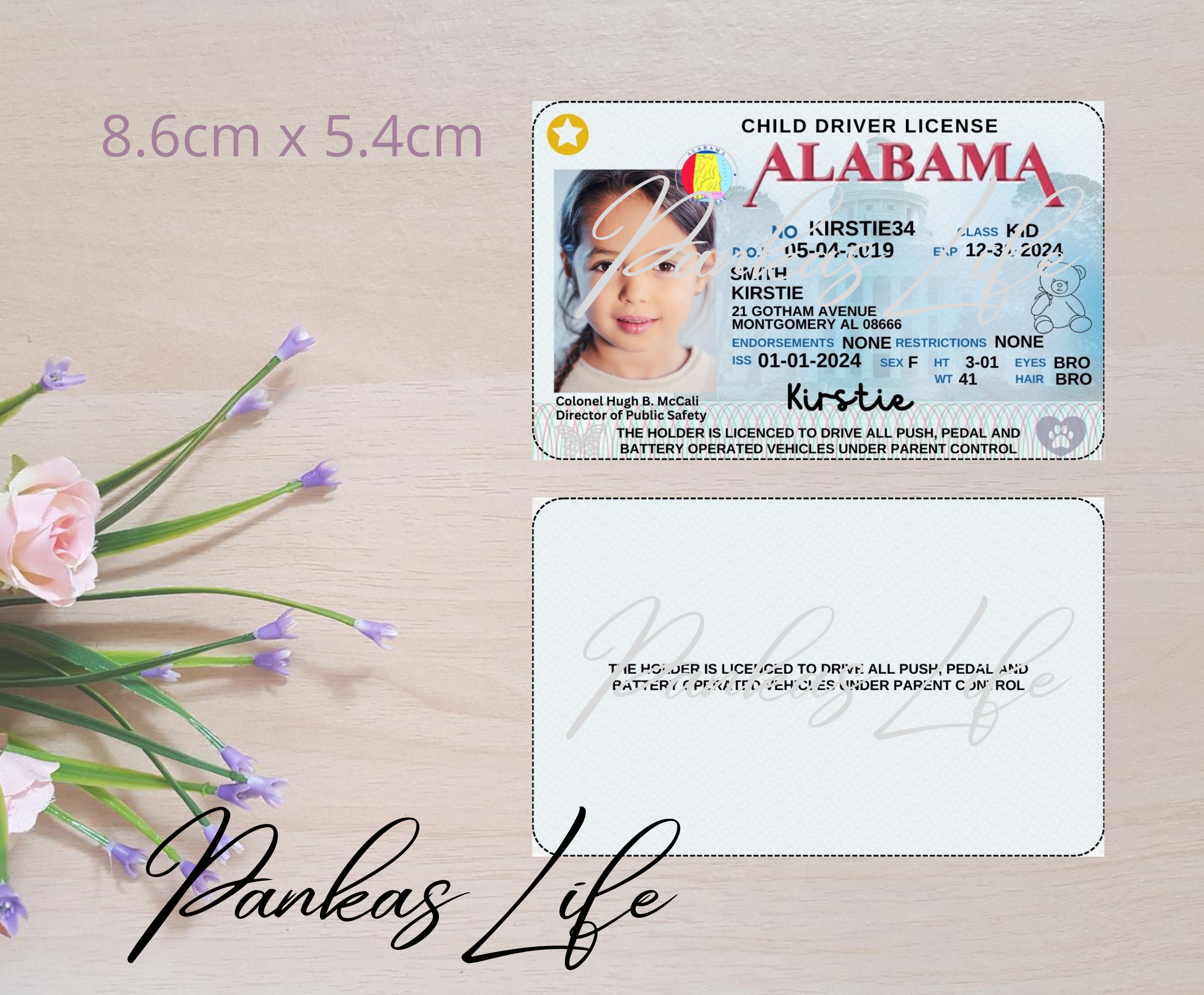 Pretend Play Usa Driver License for Kids, Alabama Driving Licence ...