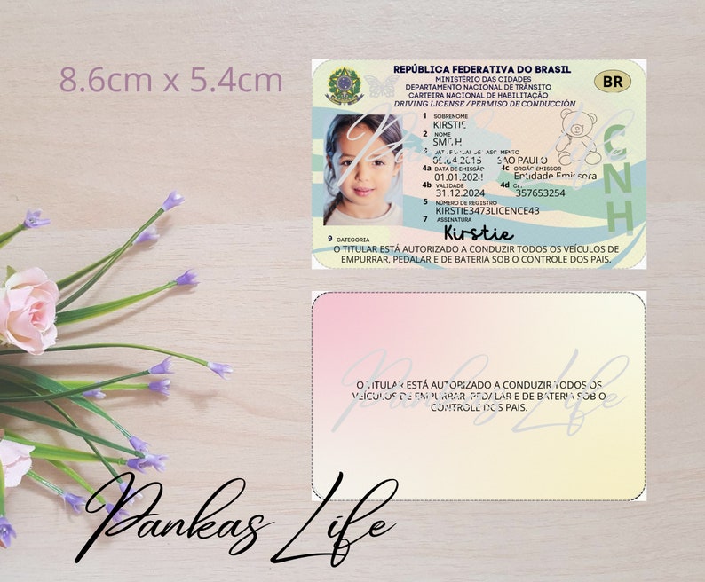 Pretend Play Brazilian Driver License for Kids, Brazil Driving Licence ...