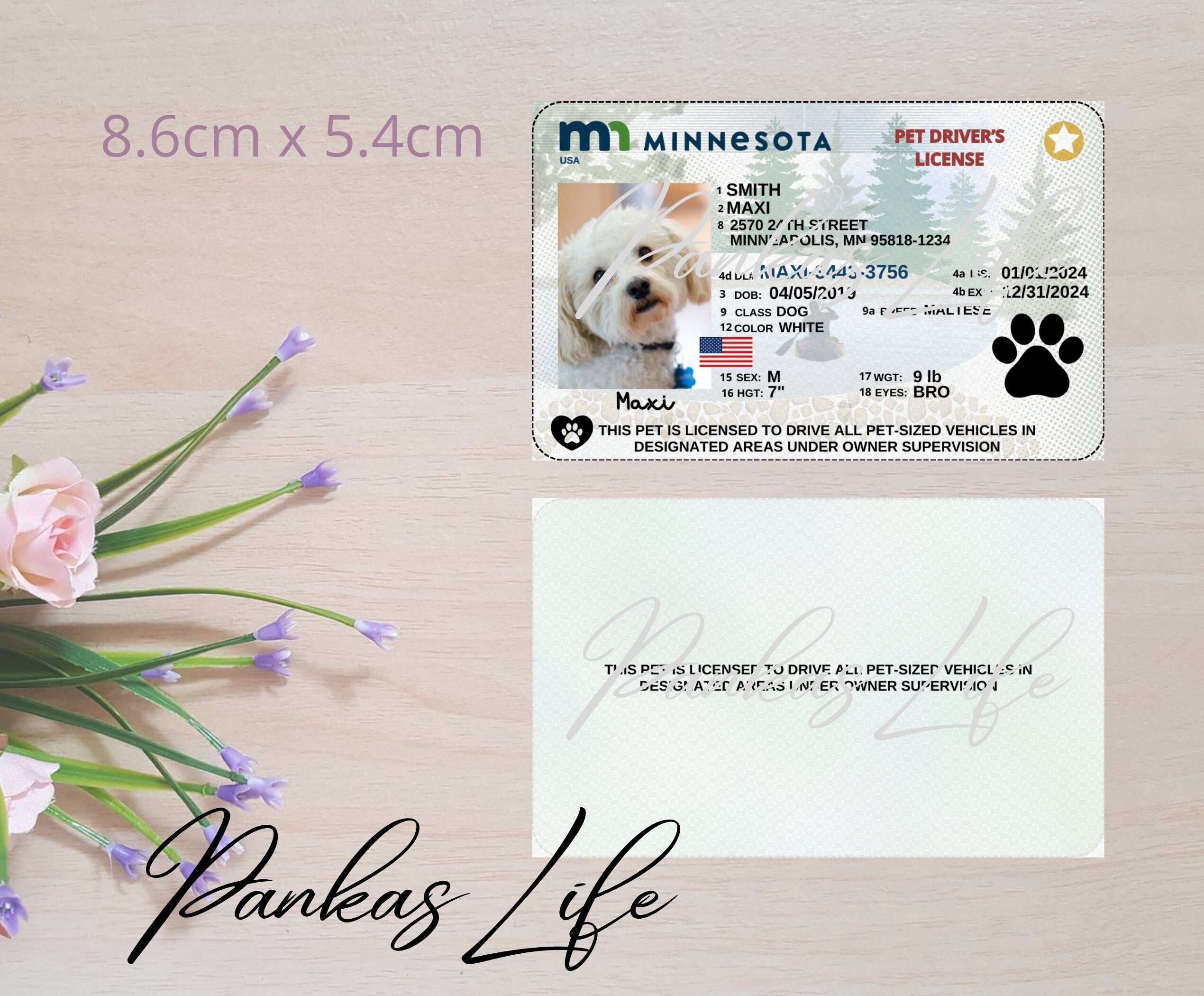 Editable Pretend Play Usa Driver Licence for Pets, Minnesota Driving ...