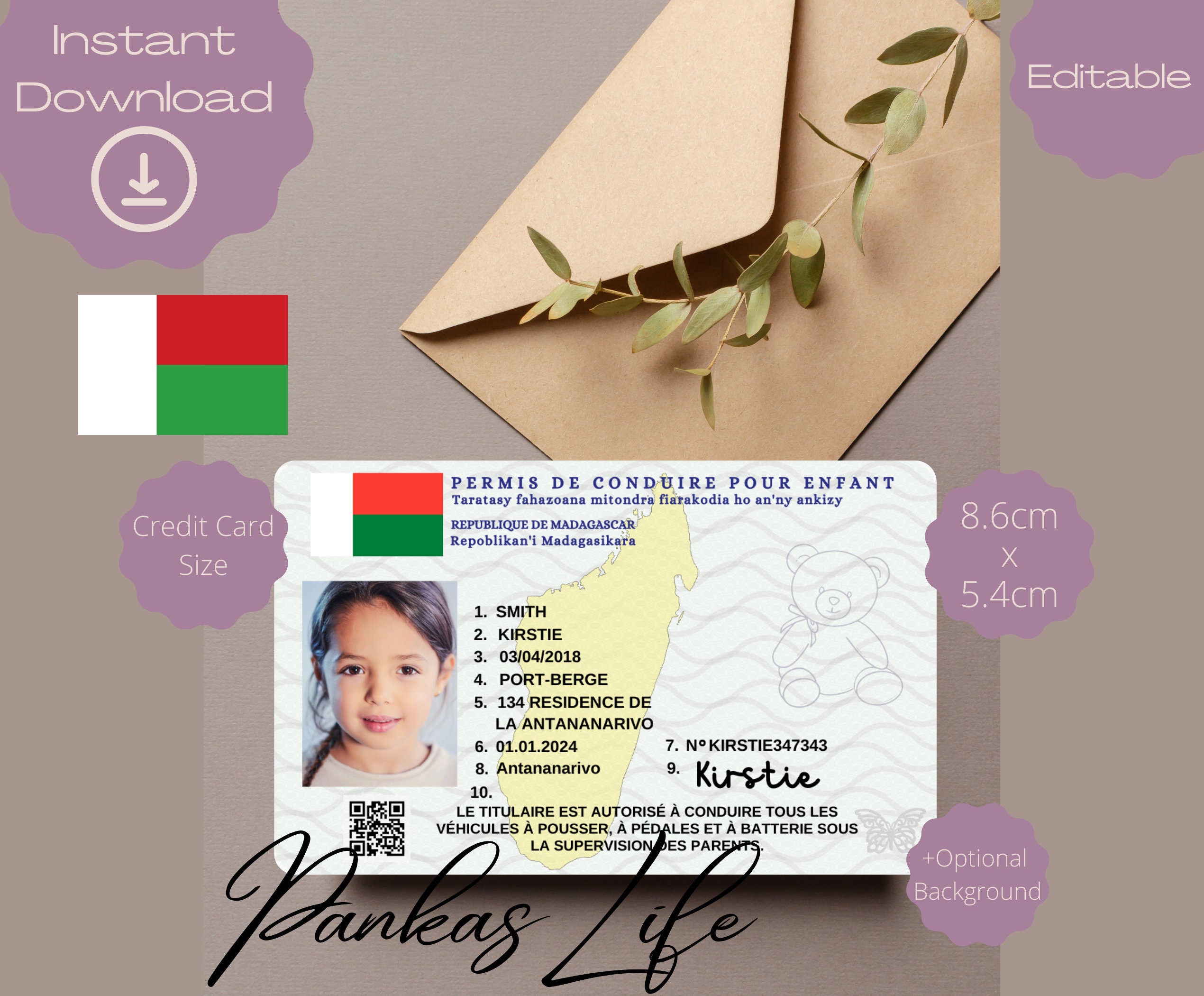 Madagascar Pretend Play Driver Licence for Kids, Driving Licence ...