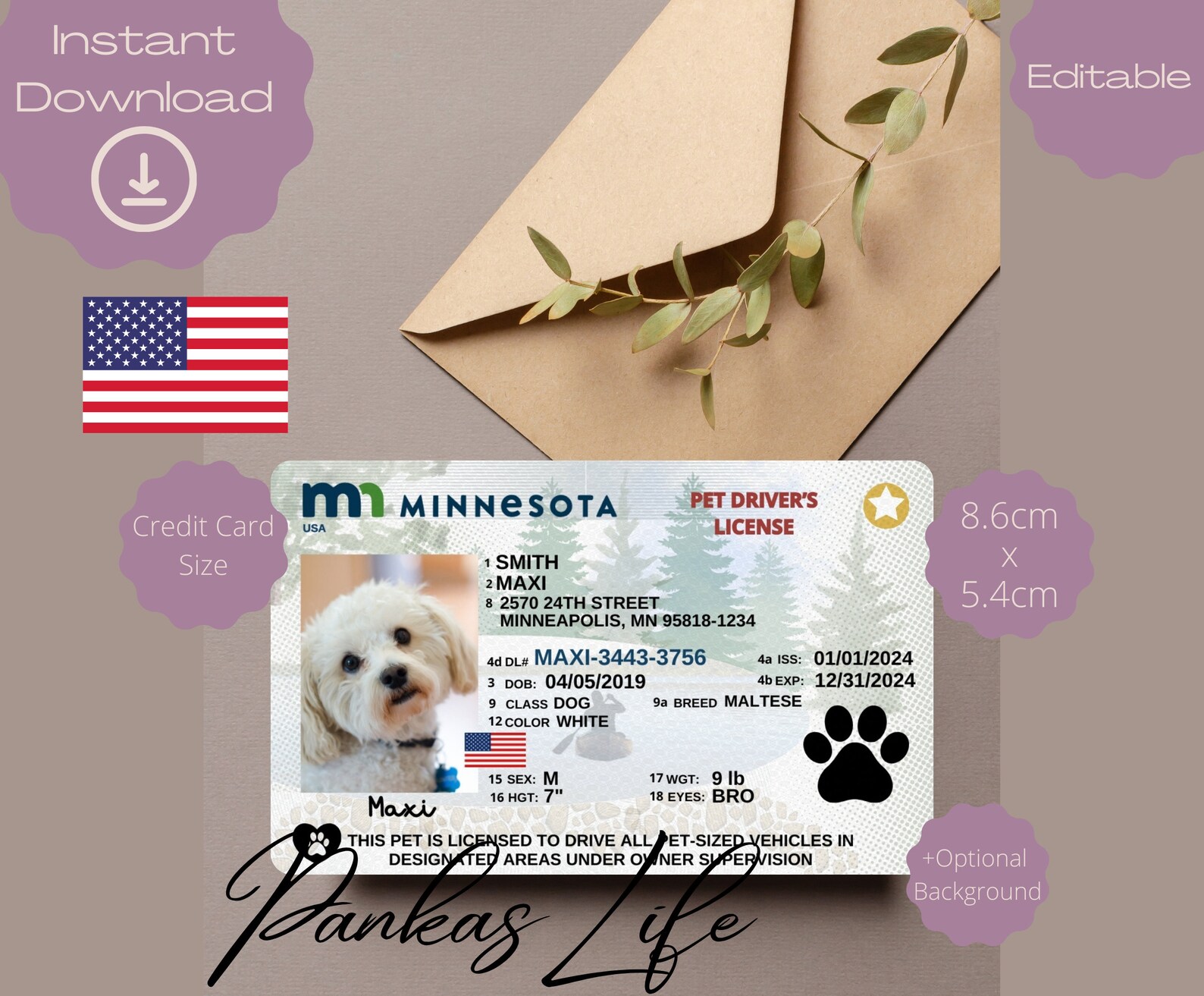Editable Pretend Play Usa Driver Licence for Pets, Minnesota Driving ...