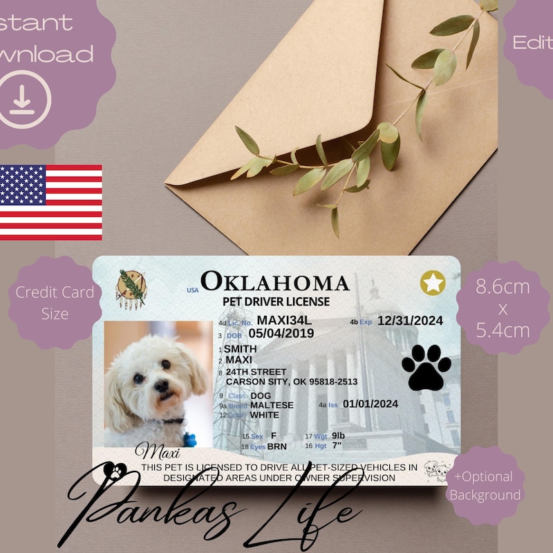 Dog Driver License - Etsy