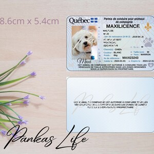 Editable Pretend Play Canada Driver Licence for Pets Québec Driving ...